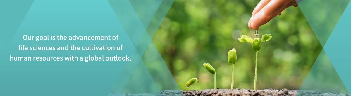 MSD Life Science Foundation